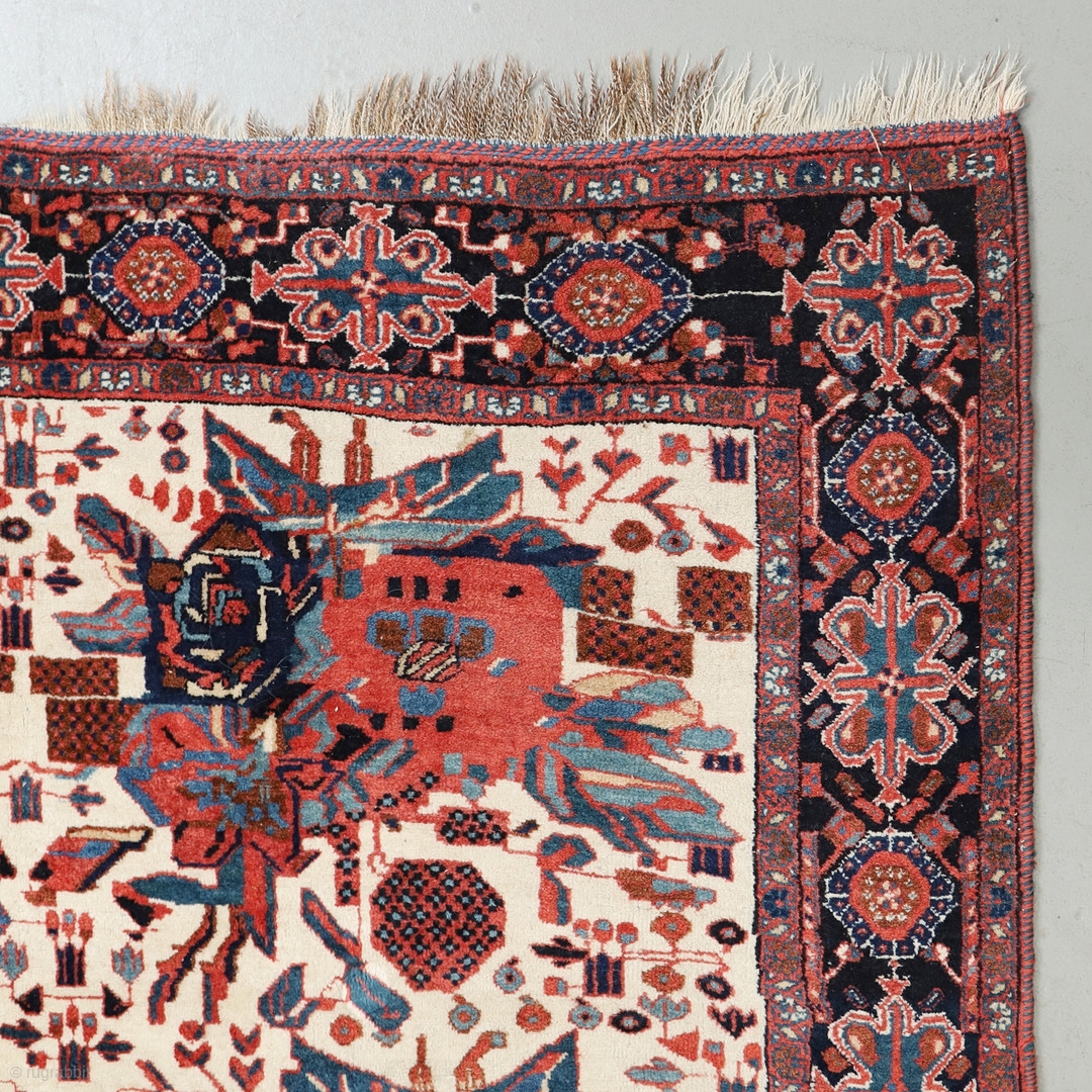 Afshar size 165 x 150 cm. | rugrabbit.com